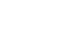 Open Catalog | Salsify